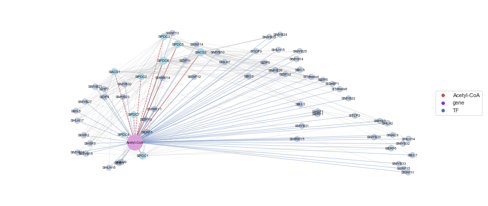 complex network (Acetyl-CoA gene TF) — tomato graft omics
